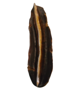 Prekese (Aidan Fruit) - NaijaMarket