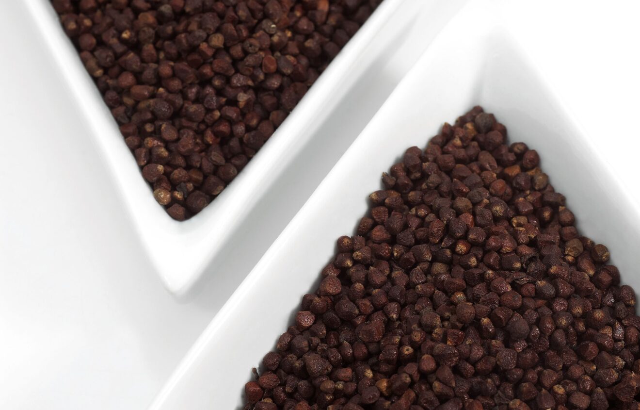 Alligator Pepper in South Africa and Frequently Asked Questions ...