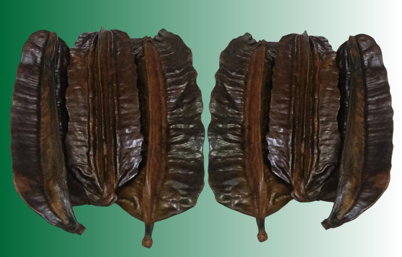 Prekese: A Powerhouse of Health Benefits and Nigerian Cultural ...