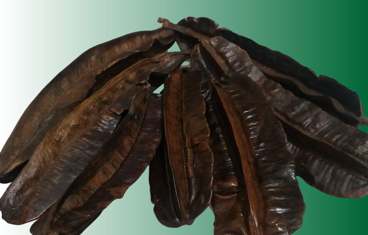 Prekese: A Powerhouse of Health Benefits and Nigerian Cultural ...
