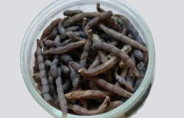 The Power of Uda: Exploring the Culinary and Health Benefits of Negro ...