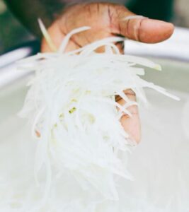 Nigerian Dry Shredded Cassava (Abacha) - NaijaMarket