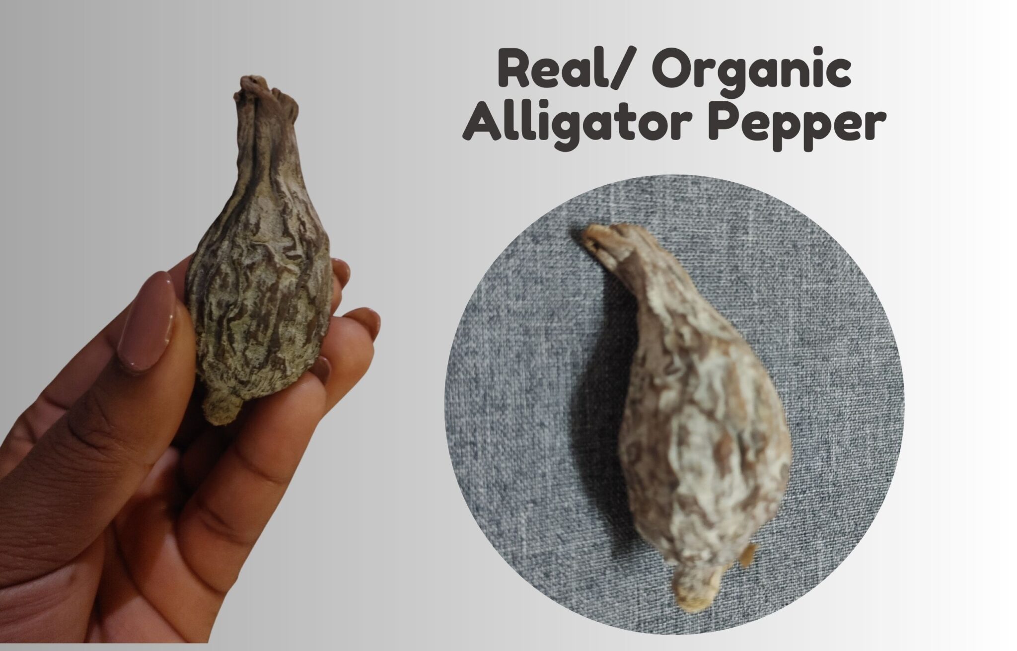 The Dangers of Fake Alligator Pepper: How to Stay Safe By Choosing Real ...