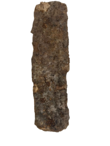 Tree of Life (Iroko) - NaijaMarket